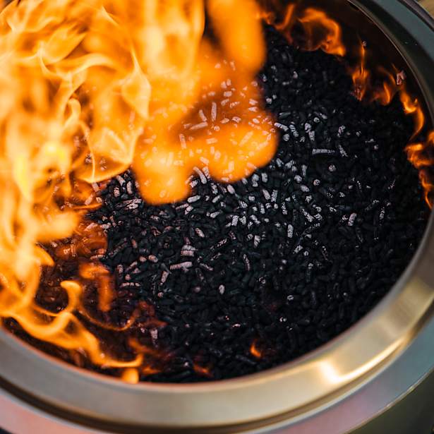 Premium Wood Fuel Pellets | Fuel Collection Solo Stove