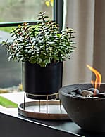 Cinder Tabletop Bowl | Indoor Firebowl Collection Solo Stove